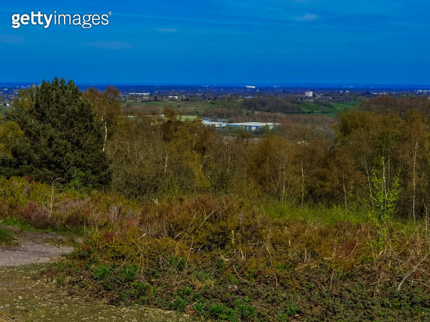 heathland moor country park forest lickey hills birmingham west ...