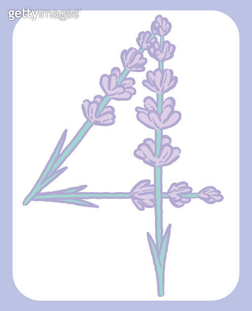 Number 4. Lavender flower font. Vector illustration. 이미지 (1671377274 ...