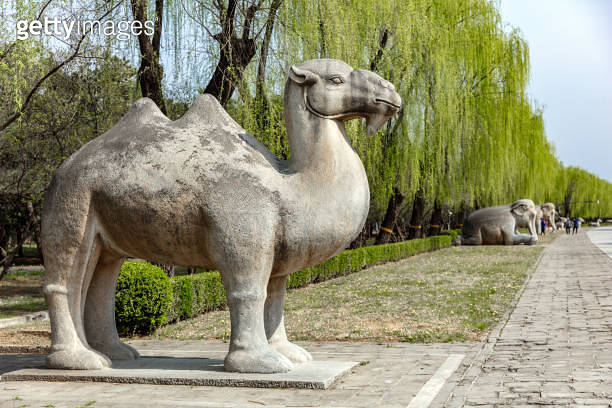 Stone-carved camels on both sides of the Ming Dynasty Ming Tombs Sacred ...