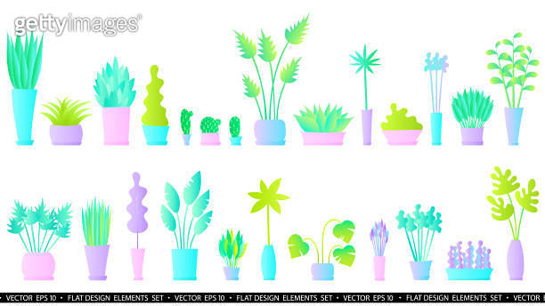 Flat plants set. Indoor plants. Flower pots. Leaves. Foliage. Isometric ...