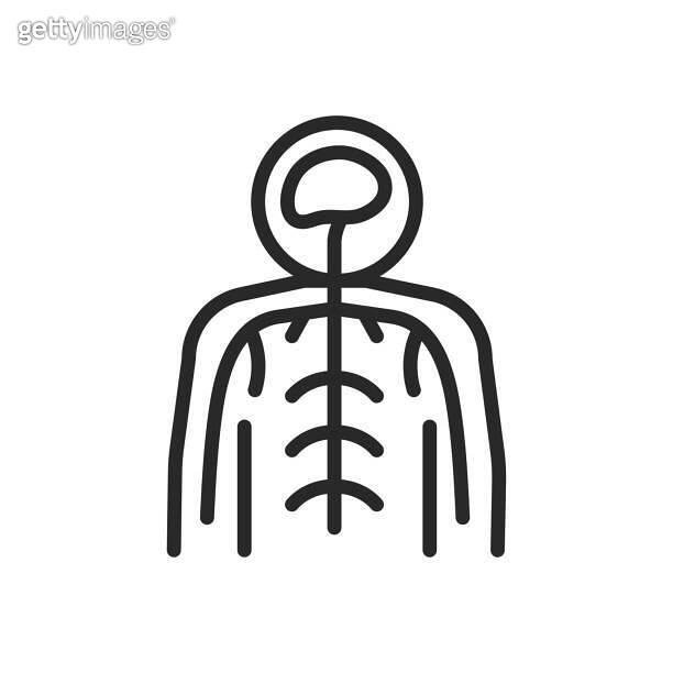 Autonomic Nervous System Icon. Thin Linear Illustration of Internal ...