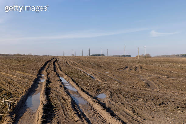 deep ruts from cars in the mud of the field (1487075464) - 게티이미지뱅크