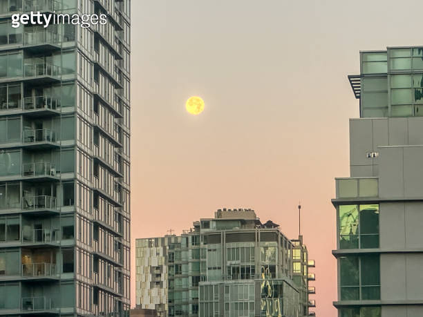 The full moon at dawn between high-rise buildings in downtown Vancouver ...