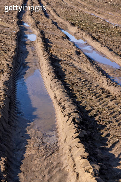 deep ruts from cars in the mud of the field (1487075388) - 게티이미지뱅크