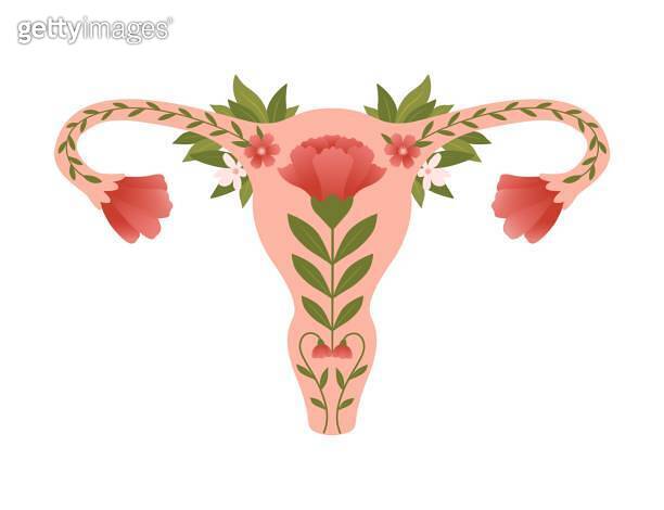 Female reproductive system with blossom flower. (1483693780) - 게티이미지뱅크