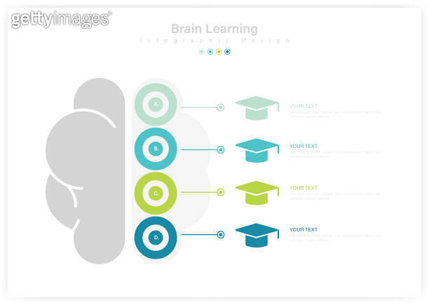 Education Vector Infographic Design Template Stock Illustration. The Concept of Brains Learning ...