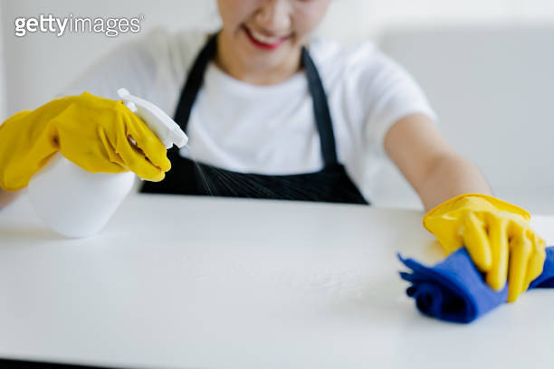 Young women use cleaning cloths and disinfectant sprays to wipe tables ...