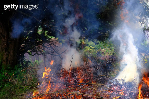 Wildfire, bushfire, wildland, rural fire unplanned, uncontrolled and ...