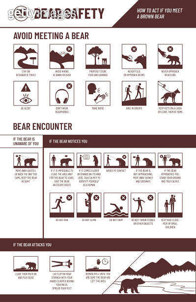 Bear safety infographic: how to act if you meet a bear (1757956092 ...