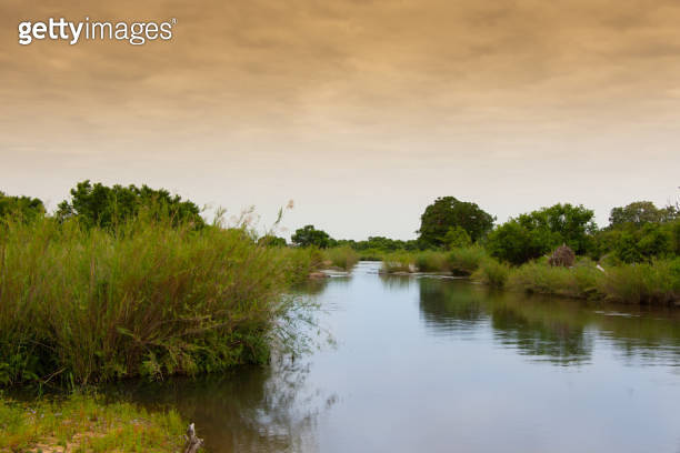 Pretty little river flowing through the savannah 이미지 (1884845509) - 게티이미지뱅크