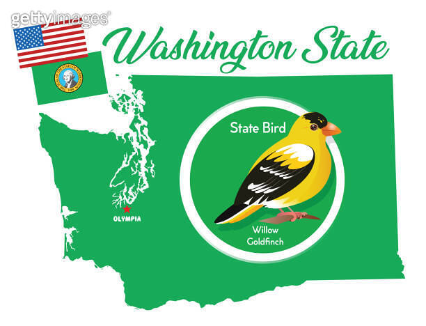 Washington State Bird; American Goldfinch (1665309093) 일러스트, 무료 일러스트 ...