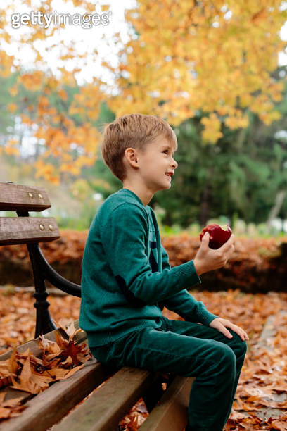 Little boy sitting on the bench and eating apple as a snack 이미지 ...
