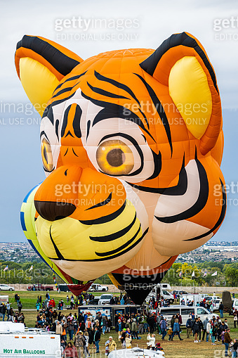 Hot Air Balloon Tiger at the Albuquerque International Balloon Fiesta ...