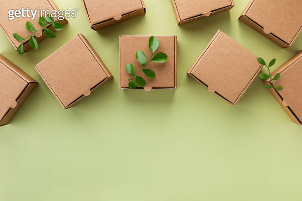 Eco concept with green leaves sprout growing in cardboard box from ...