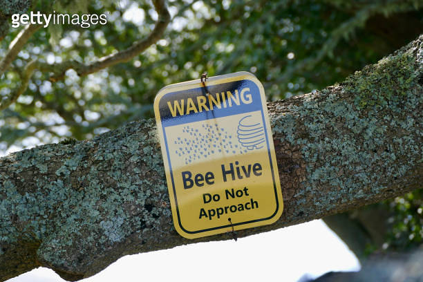 Bee hive warning sign on the tree 이미지 (1476543994) - 게티이미지뱅크