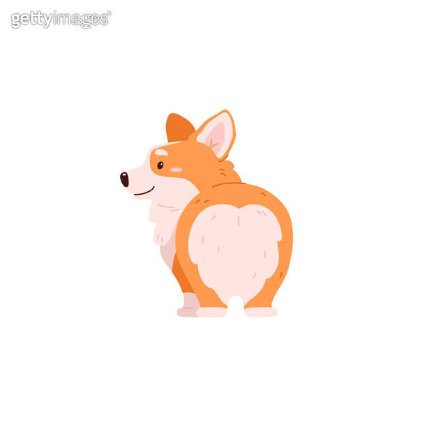 Standing smiling corgi dog back view flat style, vector illustration ...