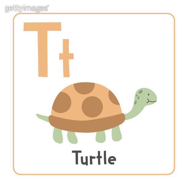 Turtle clipart. Turtle vector illustration cartoon flat style. Animals ...