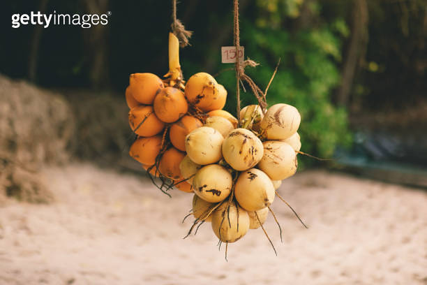 Bunch of Fresh King coconuts for Sale to Tourists on the Beach ...