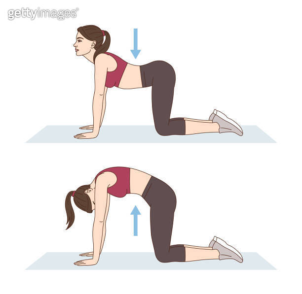 A woman is doing sports exercises. Cat cow. Workout for back. Fitness ...