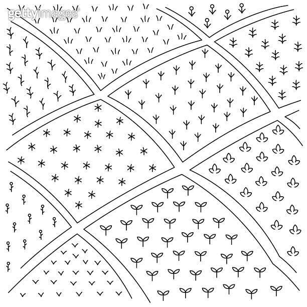 Land plot. Field with plants. Agricultural land. Editable outline ...