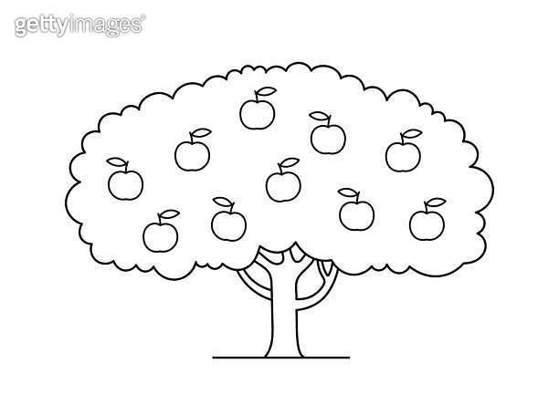 Apple fruits tree. Orchard garden harvest. Vector cartoon Illustration ...