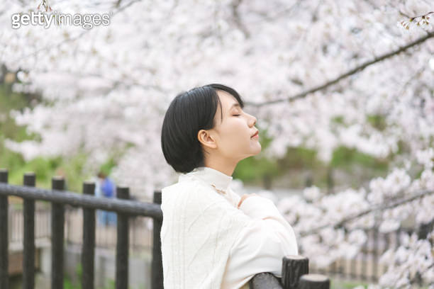 Side view portrait japanese woman with sakura flower travel in japan ...