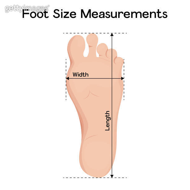 Foot size measurements vector illustration design. 이미지 (1752298572 ...