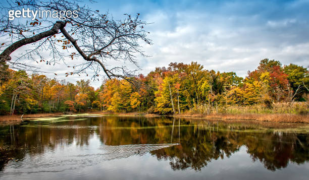 Stunningly Beautiful Serene Fall Landscape with Autumn Colors in the ...