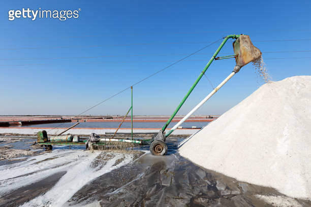 Workers work on the salt field, Salt-farm workers produce salt in the ...