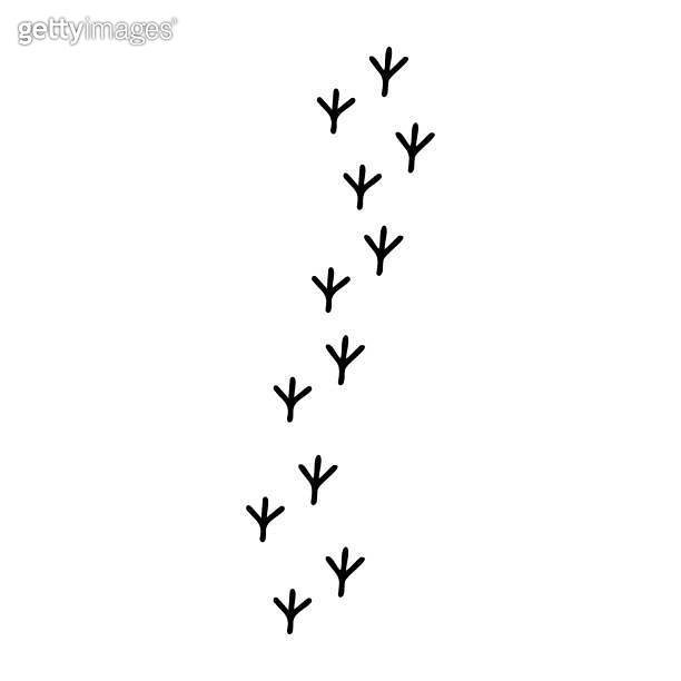 bird footprints 이미지 (1458721991) - 게티이미지뱅크