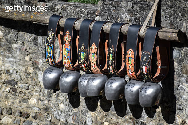 Cow bells 이미지 (1715099401) - 게티이미지뱅크