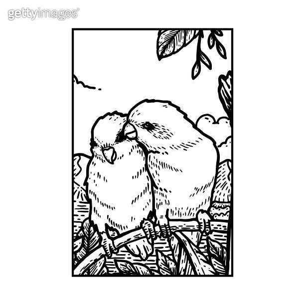 Illustration of two bird with hand drawn style in rectangle shape 이미지 ...