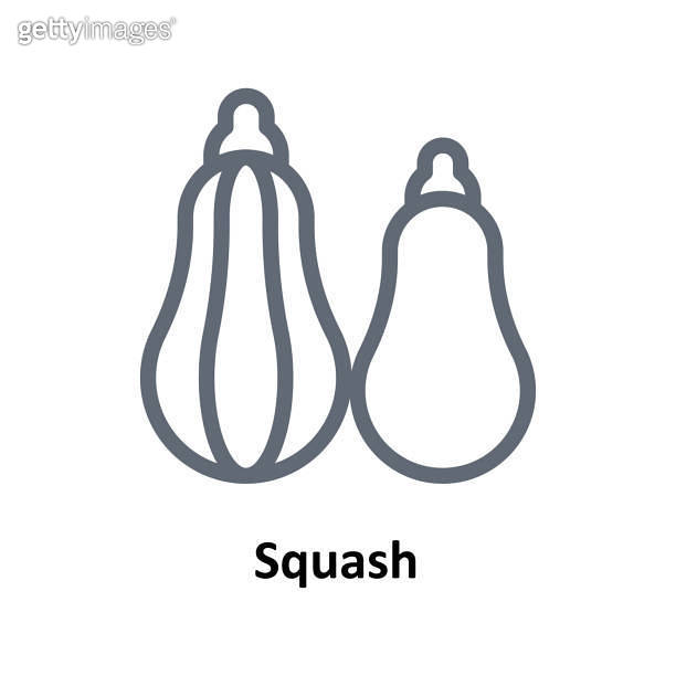 Squash Vector outline Icons. Simple stock illustration stock 이미지 ...