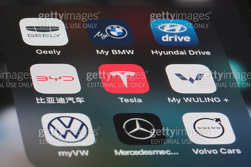 Tesla, BYD, BMW, Hyundai, Geely, Volkswagen, Mercedes BENZ, Wuling ...