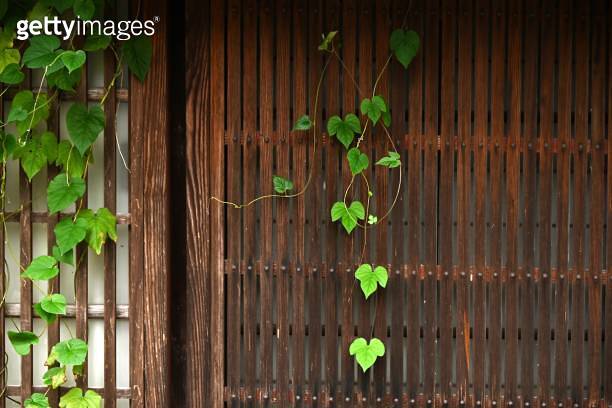 A trip to Japan. A row of houses of Omi merchants. Omihachiman City ...