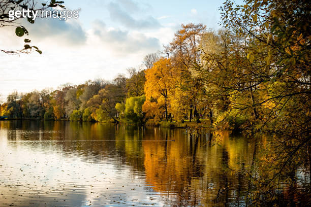 Autumn trees near the lake in cloudy, sunny weather,autumn pictorial ...