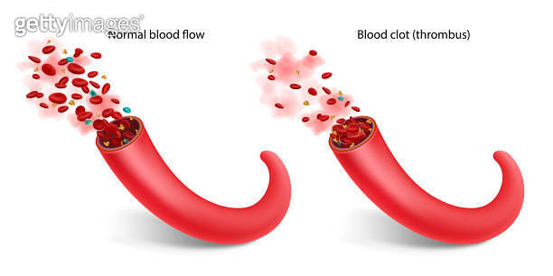 Blood vessel. Isolated vector illustration (1743785138) - 게티이미지뱅크