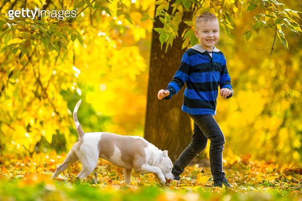 Joyful carefree child frolic walks in autumn park, forest with american ...