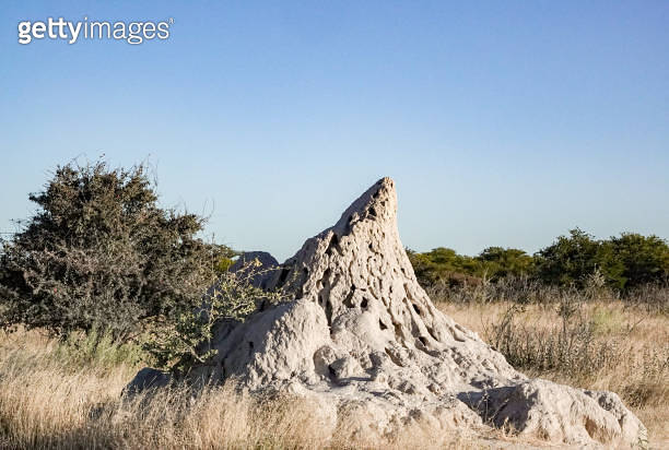 Anthill at Etosha National Park in Kunene Region, Namibia (1411442716 ...