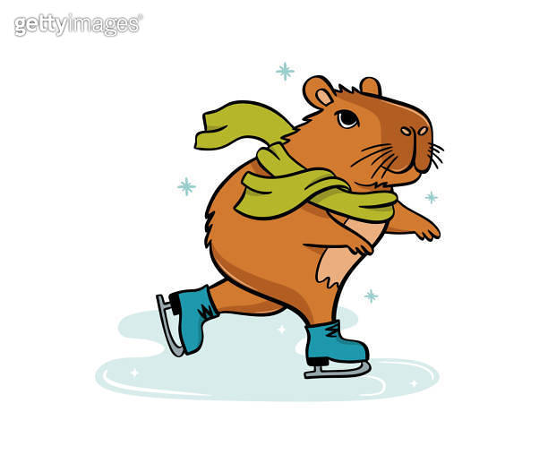 Cute capybara is ice skating. Vector illustration flat style ...