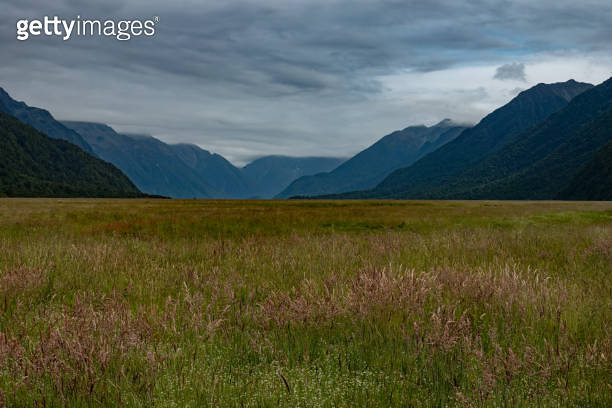 Gertrude Saddle Valley along State Highway 94 between Te Anaug and ...