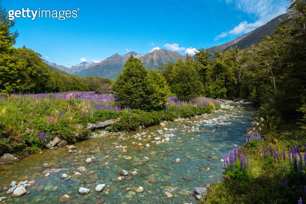 Stunning landscapes along State Highway 94 between Te Anau and Milford ...