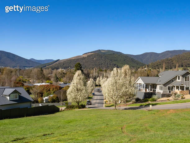 Suburban neighbourhood in spring 이미지 (1732263950) - 게티이미지뱅크