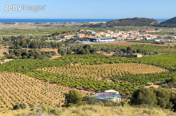 Rural landscape, aerial view. Farm field in Spain. Olive trees plantage ...