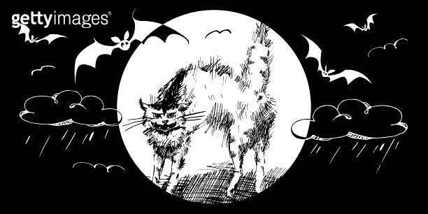Cat hunting bats at night under the full moon. Black and white stylish ...