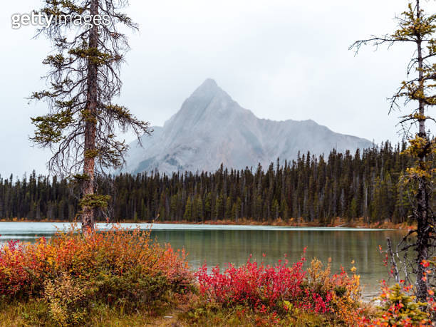 eye level view of a tree lined lake with a mountain peak in the ...
