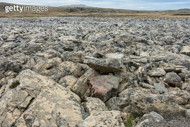 A Stone Run (quartzide) on East Falkland Island. (1625878600) - 게티이미지뱅크