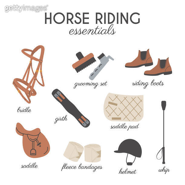 Horse riding essentials trendy square card. Equestrian Equipment vector ...