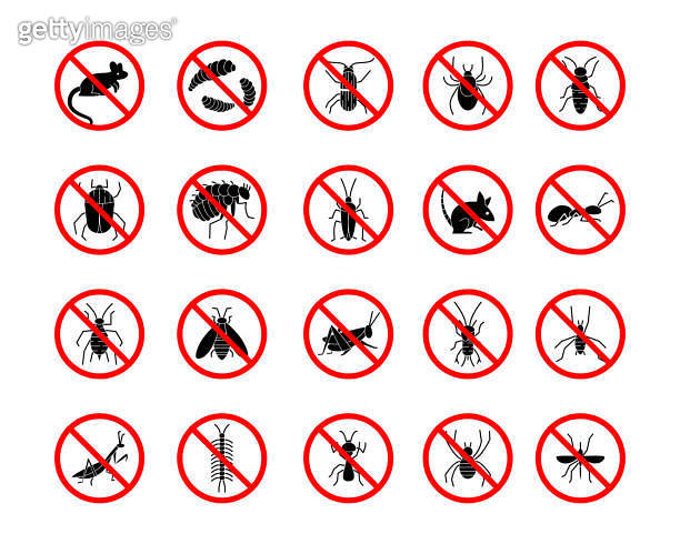 Bug insecticide. Anti insect or rat icons. Red crossed symbols. Fly ...