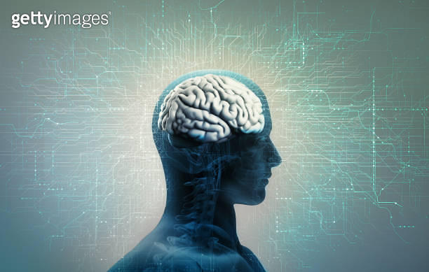 brain, thinking concept 이미지 (1457560656) - 게티이미지뱅크